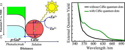 Sensitization of p-GaP with CdSe Quantum Dots: Light-Stimulated Hole ...