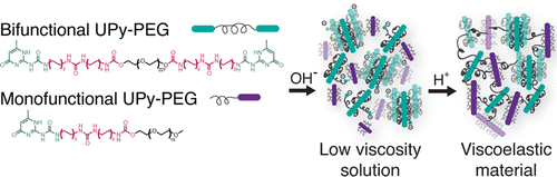 超分子脲基嘧啶酮基聚（乙二醇）瞬态网络在水中的中尺度调制,Journal of the American Chemical Society ...