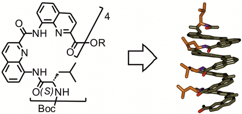 Folding of a Linear Array of α-Amino Acids within a Helical Aromatic ...