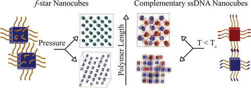 Self-Assembly and Crystallization of Hairy (f-Star) and DNA-Grafted ...