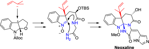 Asymmetric Total Synthesis of Neoxaline,Journal of the American ...