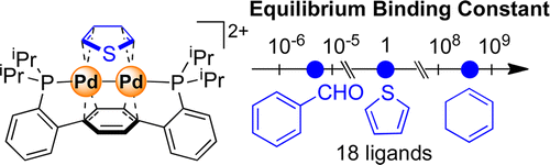 二钯(I)三联苯二膦配合物作为有机分子双位点吸附和 活化的模型,Journal of the American Chemical ...