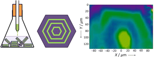 Controlling Spatial Distributions of Molecules in Multicomponent ...