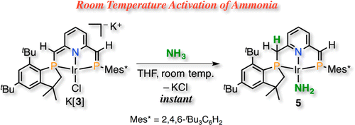 Facile N–H Bond Cleavage of Ammonia by an Iridium Complex Bearing a ...
