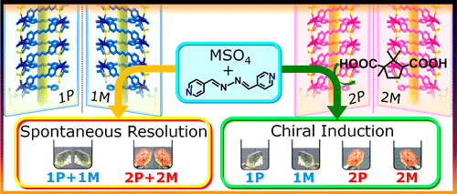 Spontaneous Resolution to Absolute Chiral Induction: Pseudo-Kagomé Type Homochiral Zn(II)/Co(II ...
