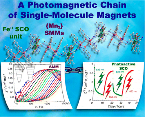 Rational Design of a Photomagnetic Chain: Bridging Single-Molecule ...