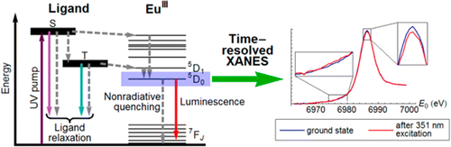 Direct Observation of 4f Intrashell Excitation in Luminescent Eu ...
