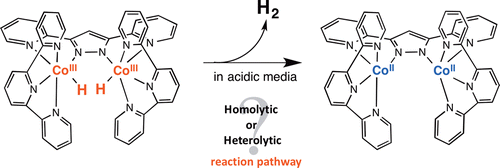 Protonation Equilibrium and Hydrogen Production by a Dinuclear Cobalt ...