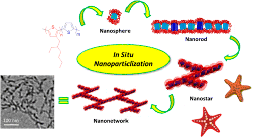 Nanostar and Nanonetwork Crystals Fabricated by in Situ ...