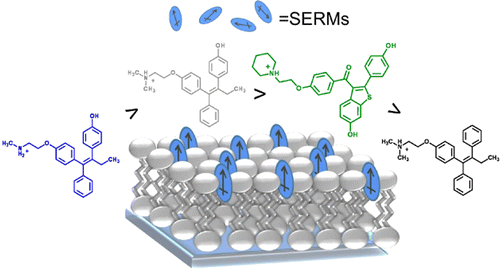 Measuring Selective Estrogen Receptor Modulator (SERM)–Membrane ...
