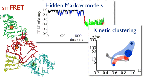 单分子 FRET 和隐马尔可夫模型揭示的复杂 RNA 折叠动力学,Journal of the American Chemical ...