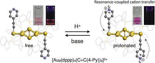 Protonation-Induced Chromism of Pyridylethynyl-Appended [core+exo]-Type ...