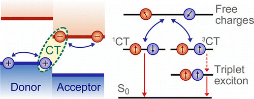 Quantitative Bimolecular Recombination in Organic Photovoltaics through ...