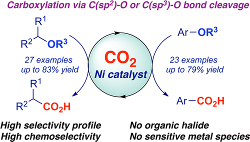 Ni-Catalyzed Carboxylation of C(sp2)– and C(sp3)–O Bonds with CO2,Journal of the American ...