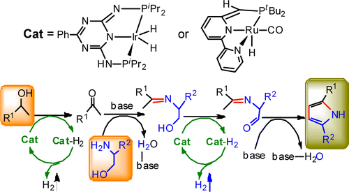 Catalytic Mechanisms of Direct Pyrrole Synthesis via Dehydrogenative ...