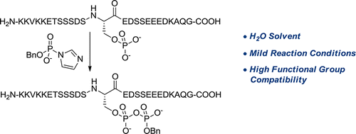 Chemical Pyrophosphorylation of Functionally Diverse Peptides,Journal ...