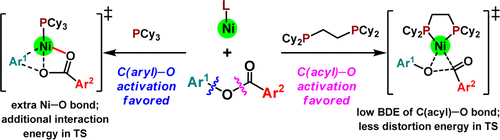 Mechanisms and Origins of Switchable Chemoselectivity of Ni-Catalyzed C ...
