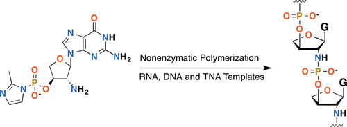 Synthesis and Nonenzymatic Template-Directed Polymerization of 2′-Amino ...