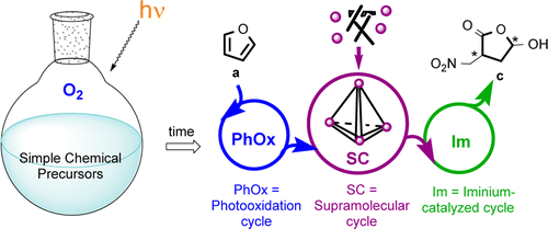 A Self-Organizing Chemical Assembly Line,Journal of the American ...
