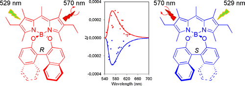 Circularly Polarized Luminescence by Visible-Light Absorption in a ...