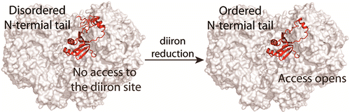 Diiron Oxidation State Control of Substrate Access to the Active Site ...
