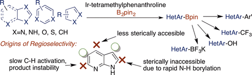 Iridium-Catalyzed C–H Borylation of Heteroarenes: Scope ...
