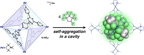 Recognition of Polyfluorinated Compounds Through Self-Aggregation in a ...
