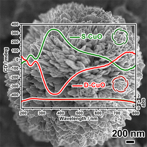 光学活性手性 CuO“纳米花”,Journal of the American Chemical Society - X-MOL