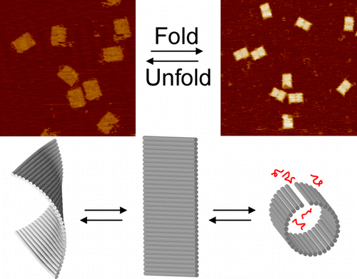 Understanding the Mechanical Properties of DNA Origami Tiles and ...