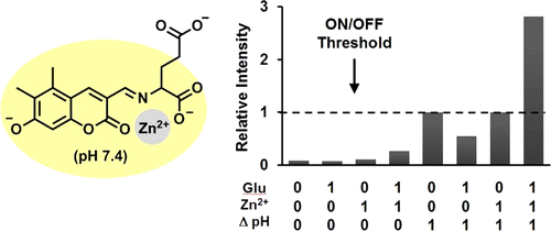 Three-Input Logic Gates with Potential Applications for Neuronal ...