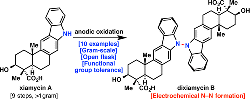 Total Synthesis of Dixiamycin B by Electrochemical Oxidation,Journal of ...