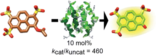 Design and High-Resolution Structure of a β3-Peptide Bundle Catalyst ...