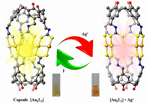 From {AuI···AuI}-Coupled Cages to the Cage-Built 2-D {AuI···AuI} Arrays ...