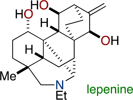 Total Synthesis of (−)-Lepenine,Journal of the American Chemical ...