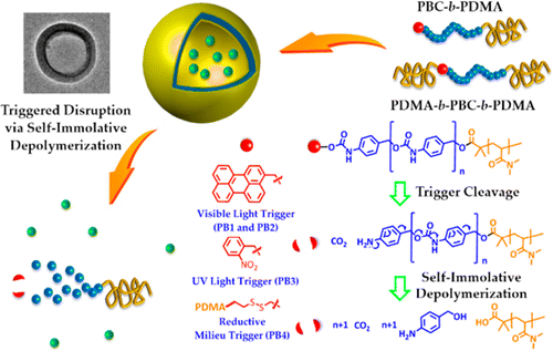 Self-Immolative Polymersomes for High-Efficiency Triggered Release and ...