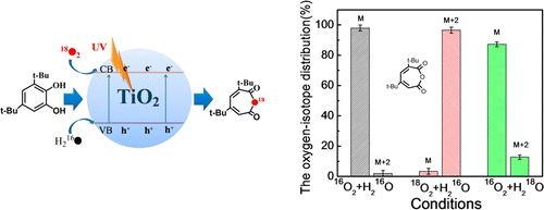 使用氧 18 标记的 O2 和 H2O 确定水溶液中 TiO2 光催化芳基开环机制,Journal of the American ...