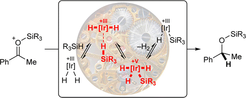 Insight into the Mechanism of Carbonyl Hydrosilylation Catalyzed by ...