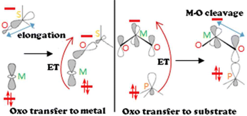 Sulfur K-Edge X-ray Absorption Spectroscopy and Density Functional ...