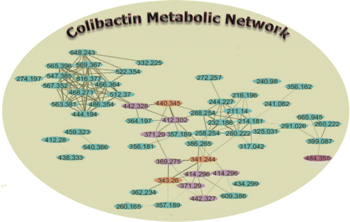 比较代谢组学和结构表征阐明 Colibactin 途径依赖的小分子,Journal of the American Chemical ...