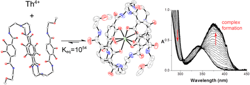 A Macrocyclic Chelator with Unprecedented Th4+Affinity,Journal of the ...