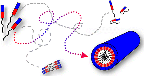 Pathway Selection in Peptide Amphiphile Assembly,Journal of the American Chemical Society - X-MOL