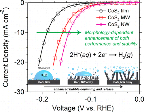 使用金属黄铁矿钴 (CoS2) 微结构和纳米结构的高性能电催化,Journal of the American Chemical ...