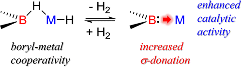 Boryl–Metal Bonds Facilitate Cobalt/Nickel-Catalyzed Olefin ...