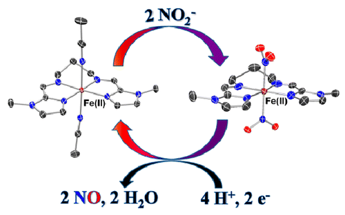 NO2–Activation and Reduction to NO by a Nonheme Fe(NO2)2Complex,Journal ...