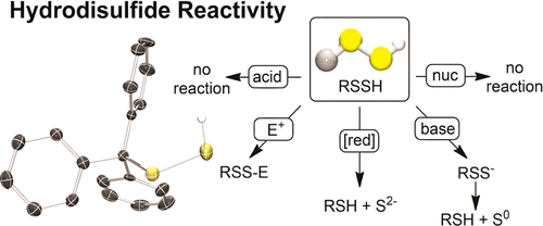 Understanding Hydrogen Sulfide Storage: Probing Conditions for Sulfide ...