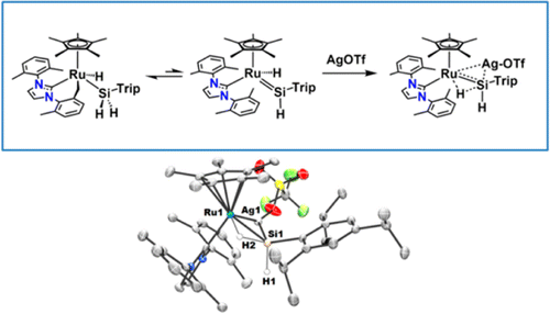 Cyclometalated N-Heterocyclic Carbene Complexes of Ruthenium for Access ...