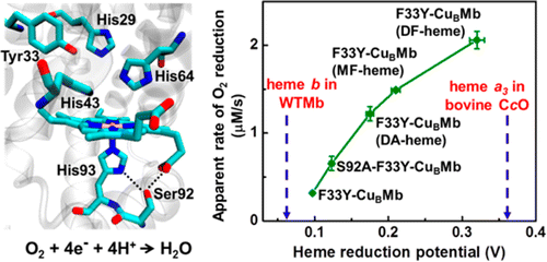 Systematic Tuning of Heme Redox Potentials and Its Effects on ...