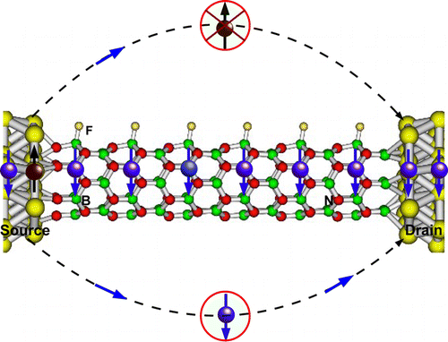 Fluorinated Boron Nitride Nanotube Quantum Dots: A Spin Filter,Journal ...