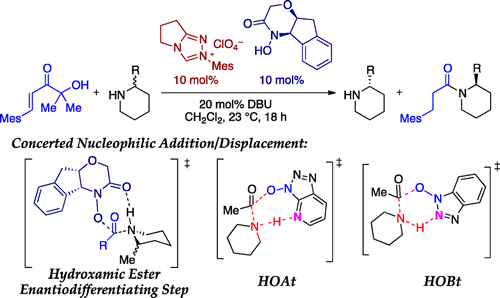 Concerted Amidation of Activated Esters: Reaction Path and Origins of ...