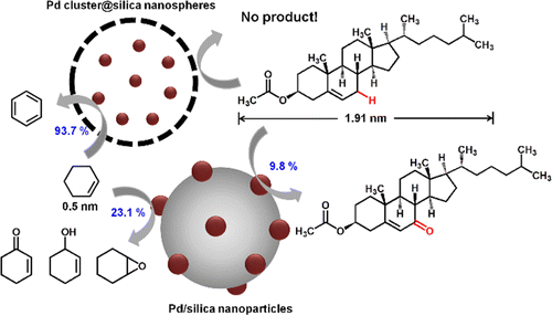 Lab-in-a-Shell: Encapsulating Metal Clusters for Size Sieving Catalysis ...